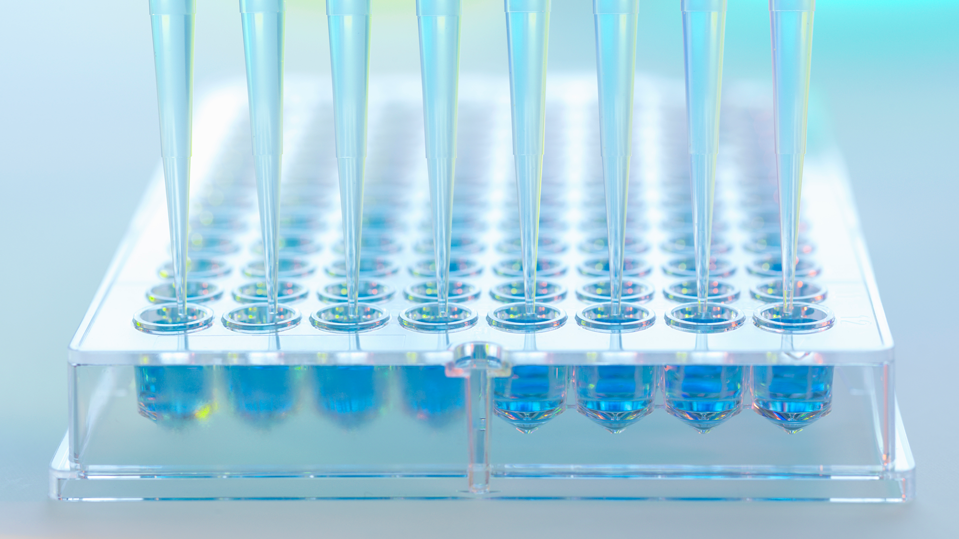 Improving Reliability By Reducing Human Errors Revvity